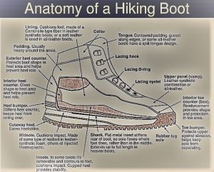 Construction of a Hiking Boot [Comprehensive Guide + Diagram]