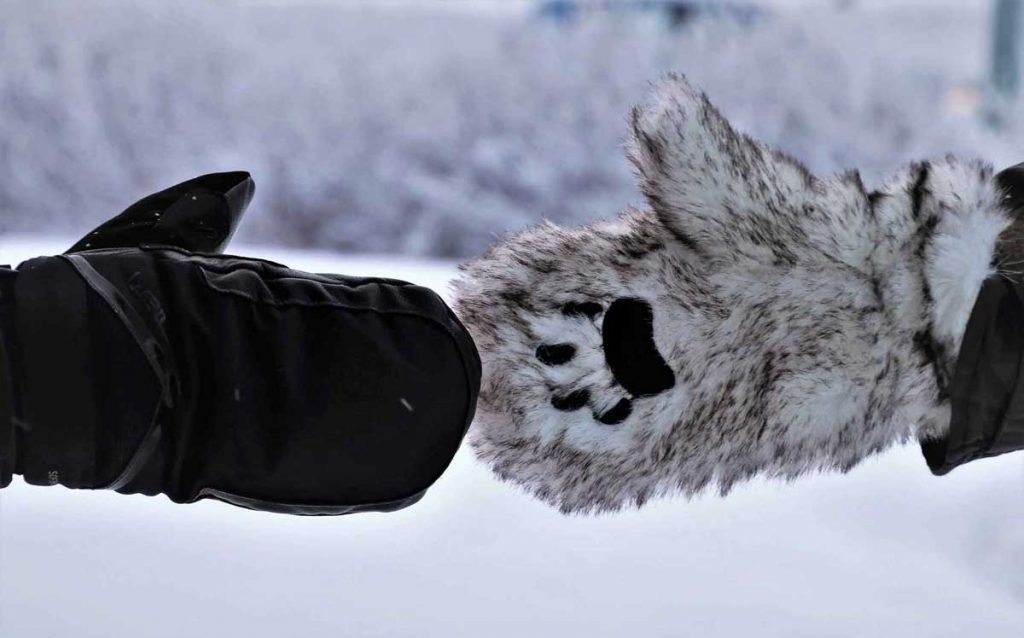 How to Choose Cold Weather Gloves and Mittens (February 2022)